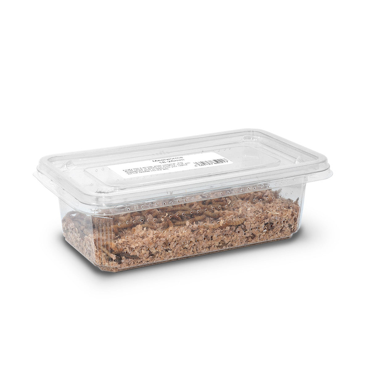 Mealworms, 18-26mm, 60g Tub