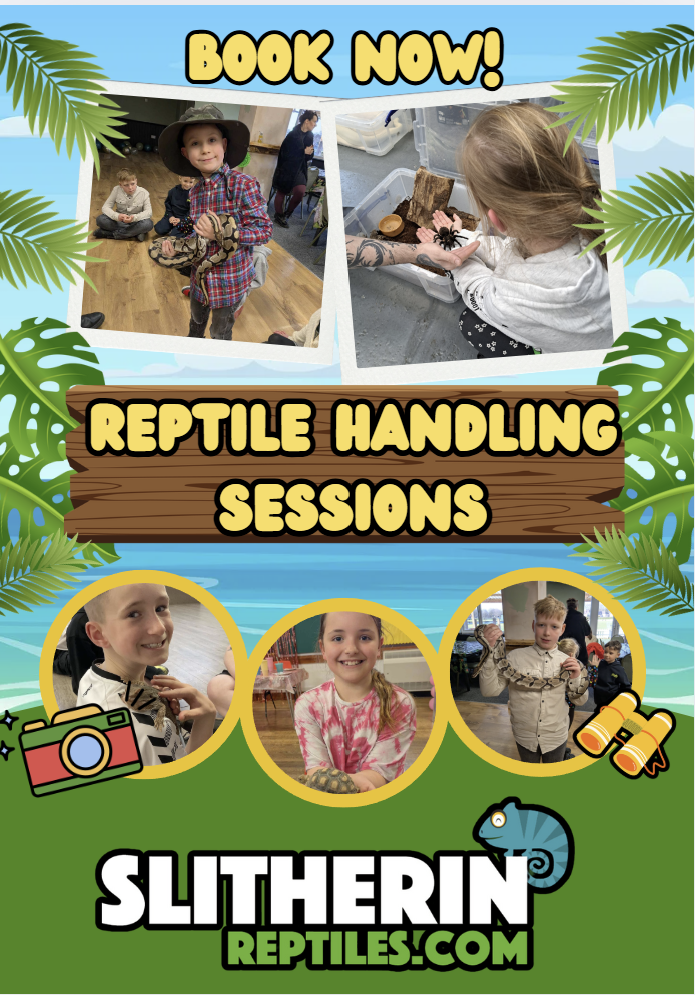 Reptile Handling Sessions