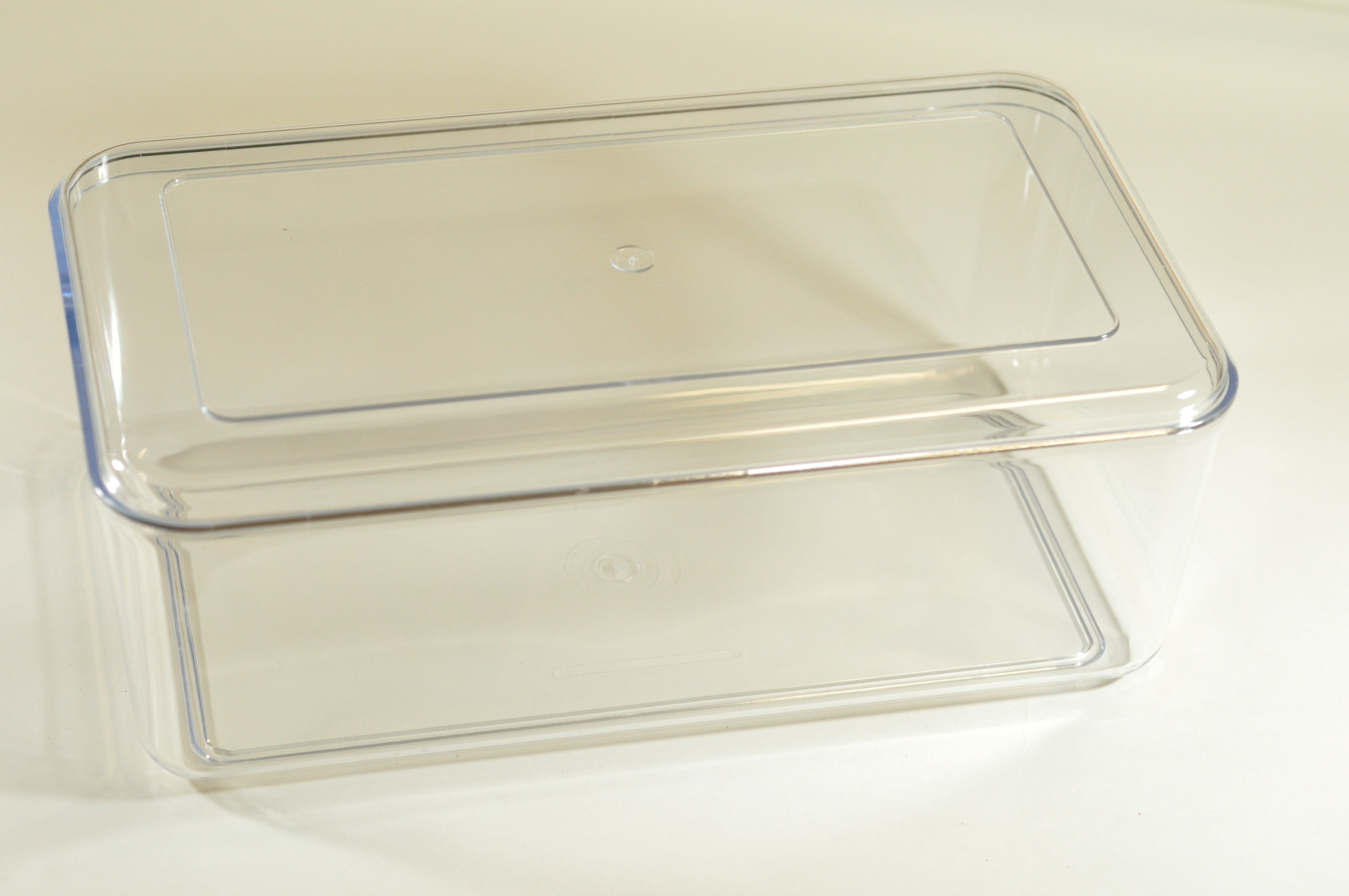 Monkfield Clear Hatchling Box, Large, L28 x D16.5 x H10cm